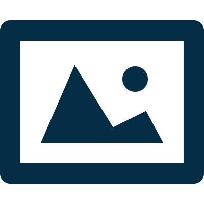 iGoTerra - Learn about Hispaniolan Giant Gecko Aristelliger lar